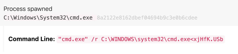 Raspberry Robin gets the worm early